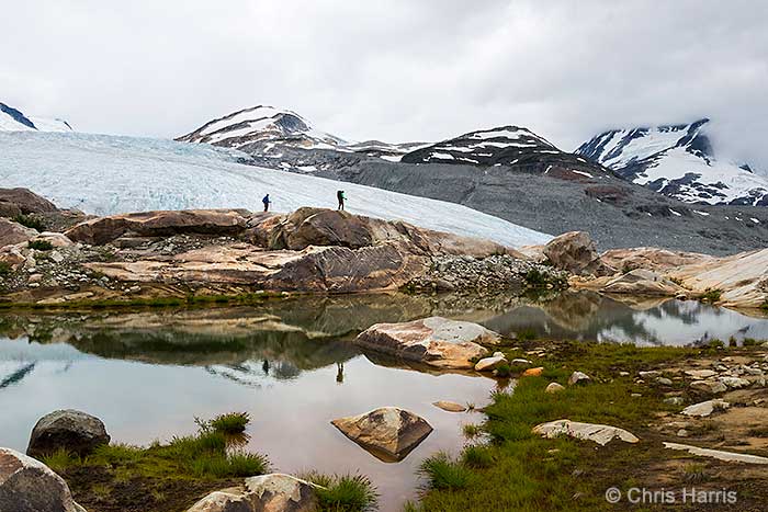 Newsletter No. 113: December 2014 – Chris Harris Photography