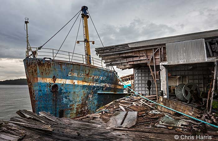 Newsletter No. 115: February 2015 – Chris Harris Photography